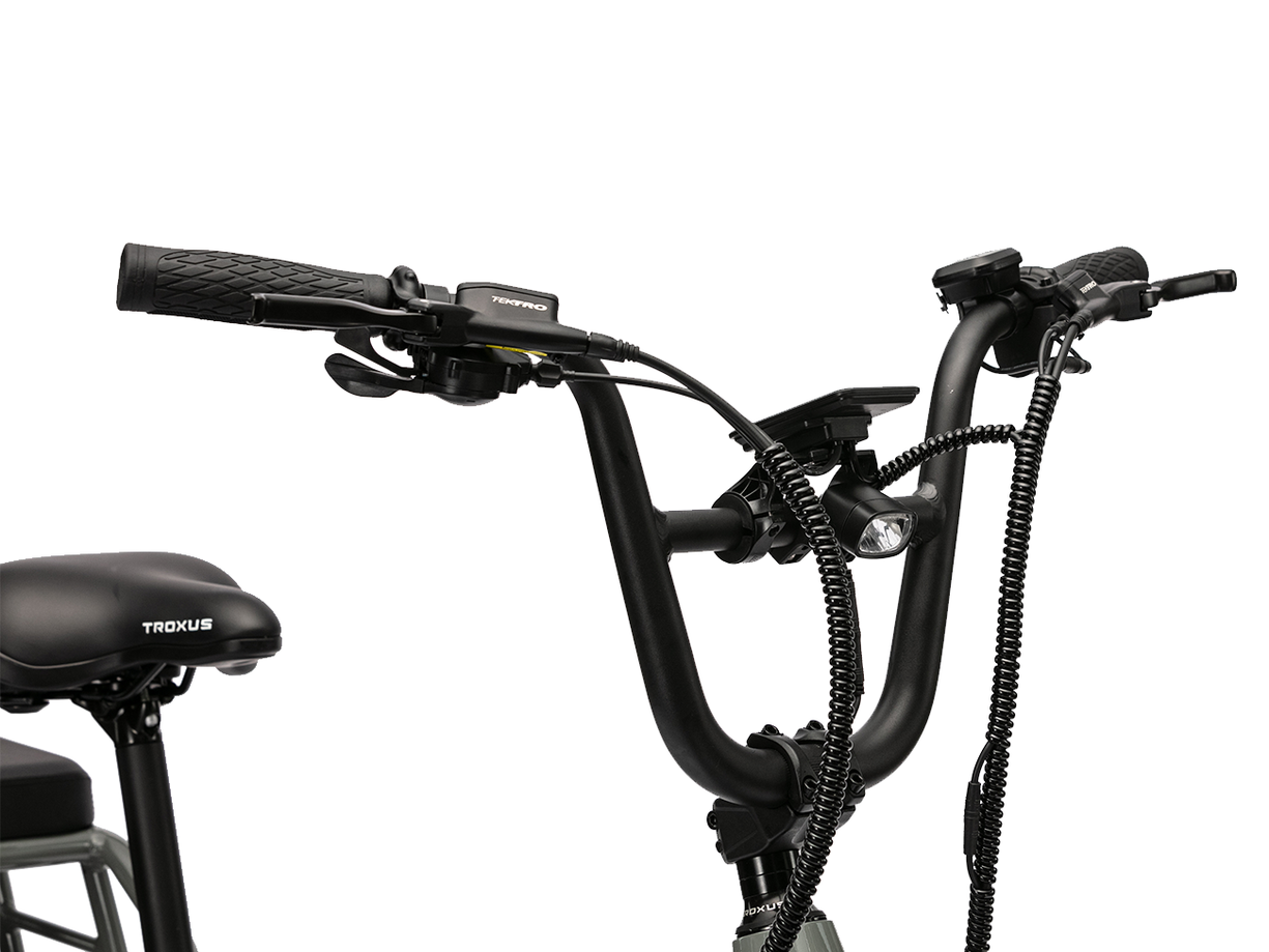 Lynx 2-Up 2 Seater Cargo Electric Bike | Troxus Ebike – TROXUS