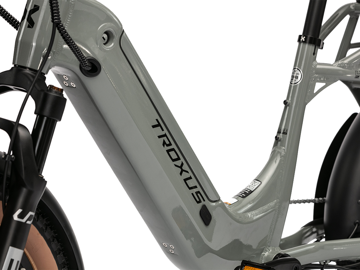 Lynx 2-Up 2 Seater Cargo Electric Bike | Troxus Ebike – TROXUS