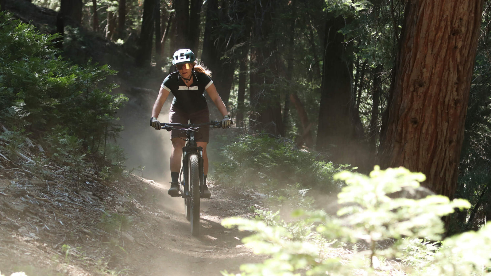 Ultimate Electric Bikes | Troxus Mobility USA