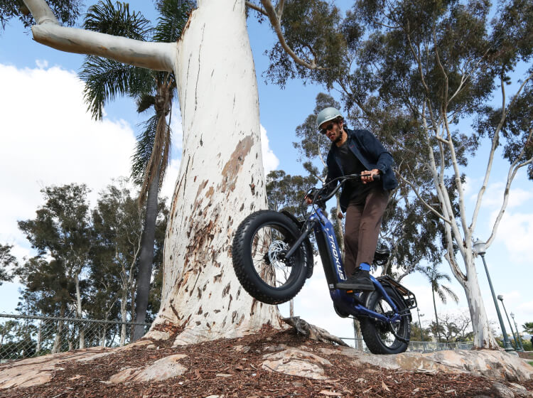 Troxus Utility Ebikes | Cargo & Step-Through Electric Bikes